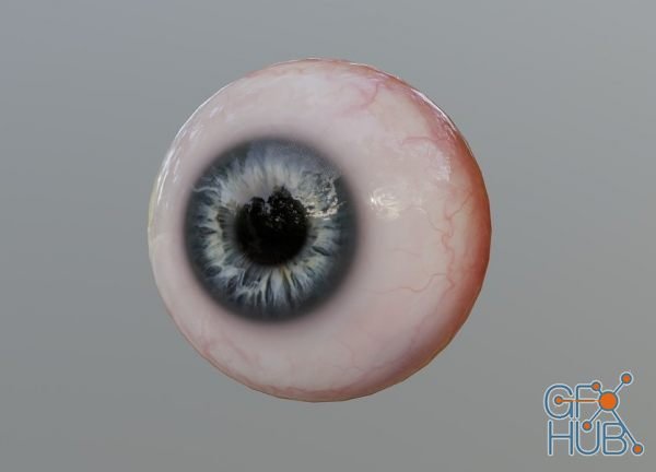 Flippednormals Eye Kit